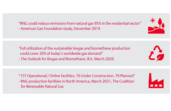 Renewable Natural Gas